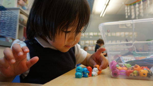 Welcome to Ashbrook Independent School - Ashbrook Independent School